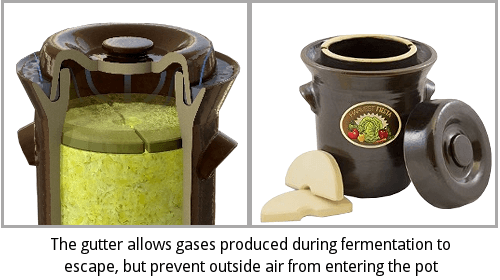 Harvest Fiesta Fermentation Crock Pot | The Conscious Life